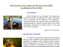 Ce2-Cm1-Cm2 de l'École Payen-Bacquet - Pelves - Verger Pelves