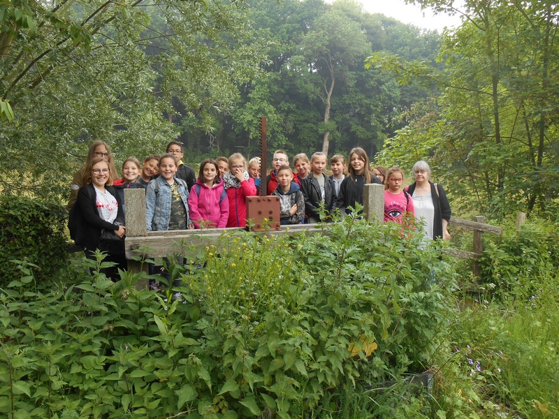 Ce2-Cm1-Cm2 de l'École Payen-Bacquet - Pelves - Esquerdes - Mai 2018