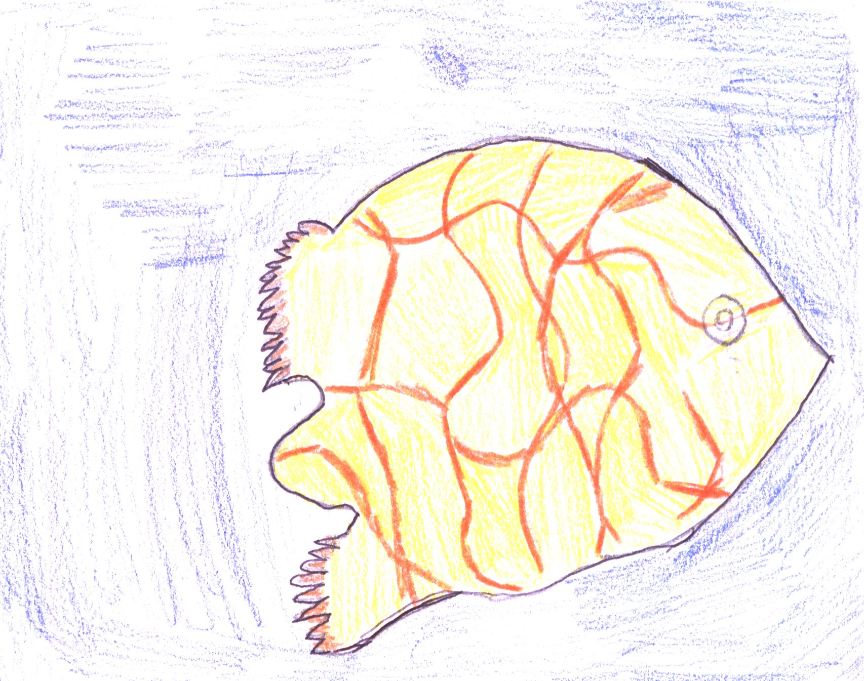 Ce2-Cm1-Cm2 de l'École Payen-Bacquet - Pelves - Petits poissons