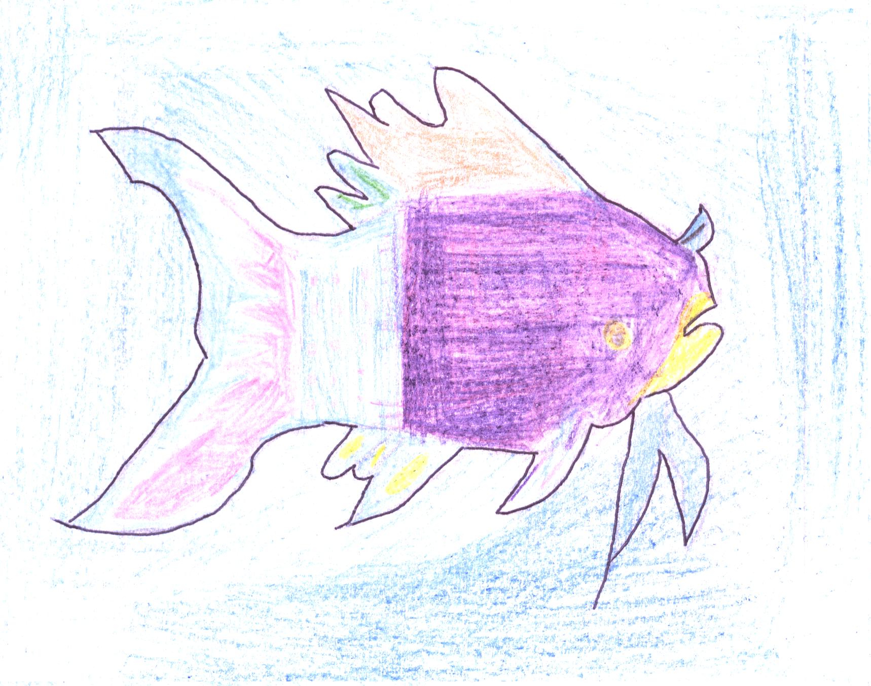 Ce2-Cm1-Cm2 de l'École Payen-Bacquet - Pelves - Petits poissons