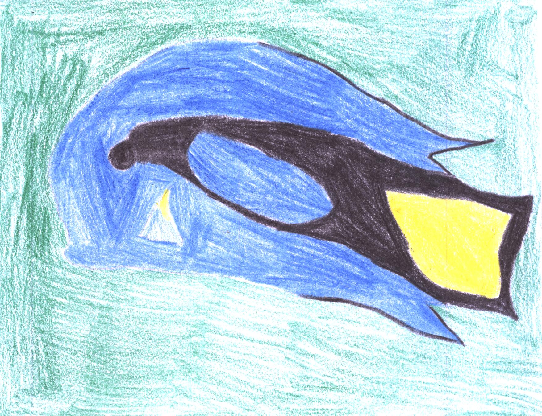 Ce2-Cm1-Cm2 de l'École Payen-Bacquet - Pelves - Petits poissons