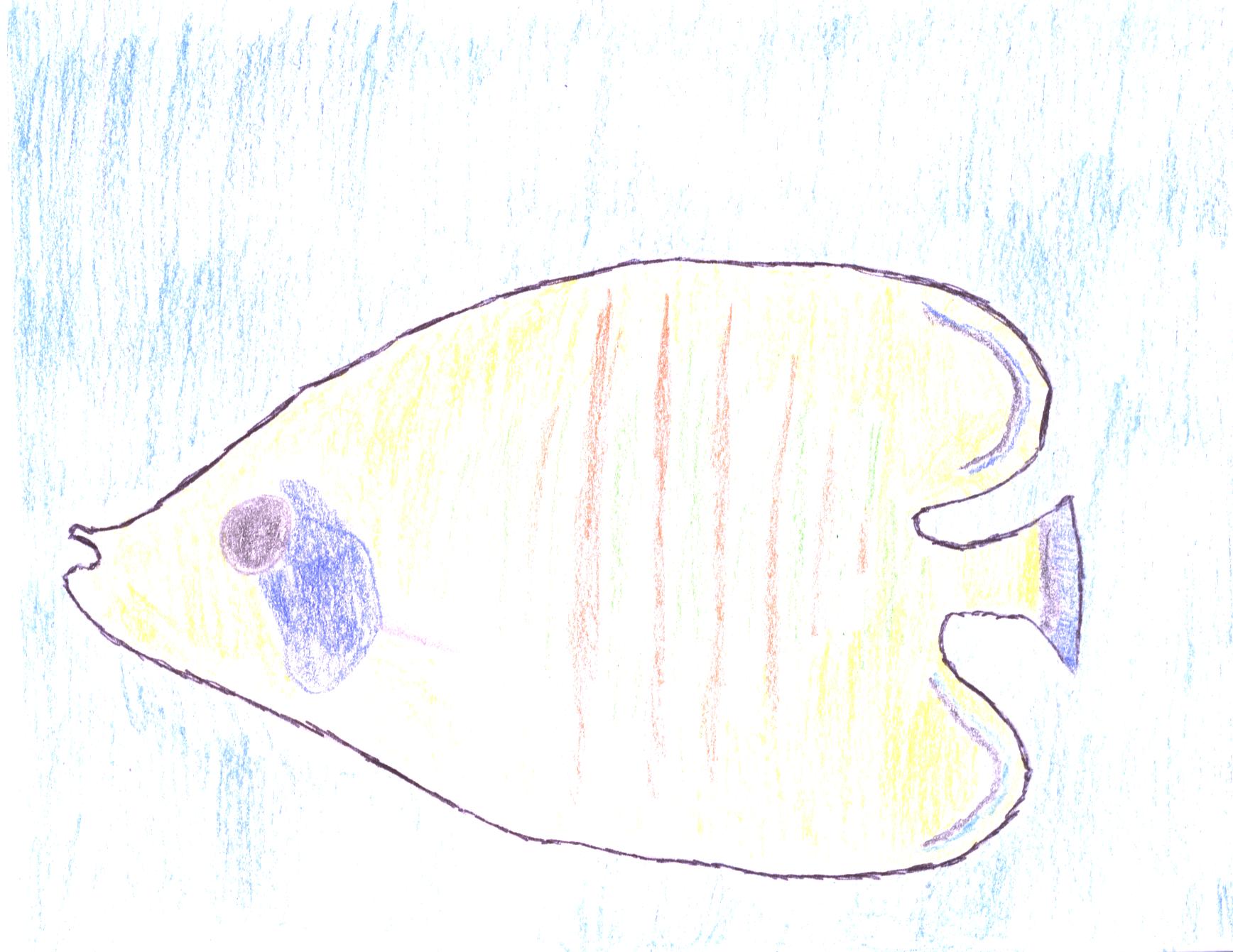 Ce2-Cm1-Cm2 de l'École Payen-Bacquet - Pelves - Petits poissons