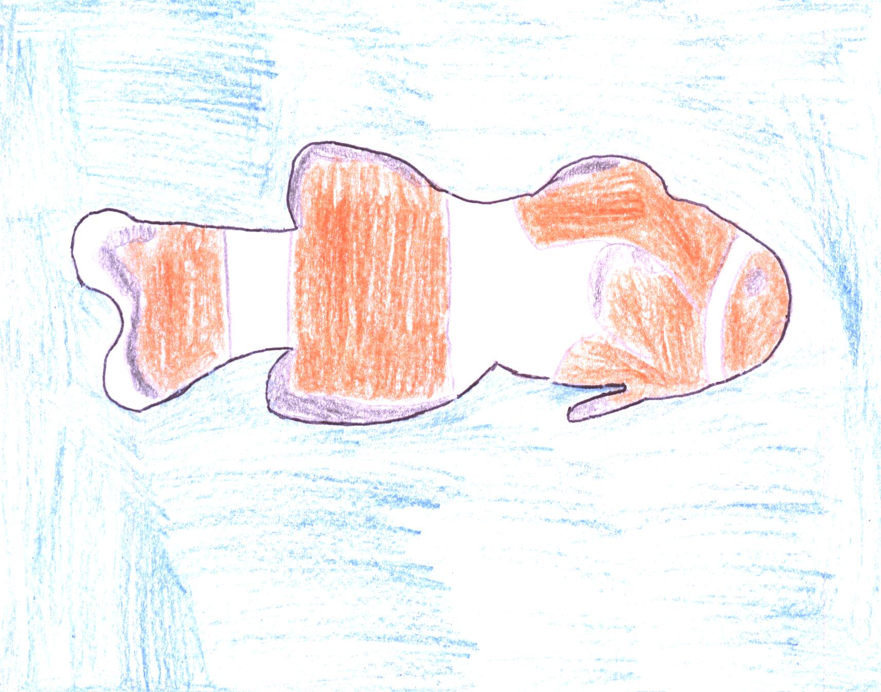 Ce2-Cm1-Cm2 de l'École Payen-Bacquet - Pelves - Petits poissons