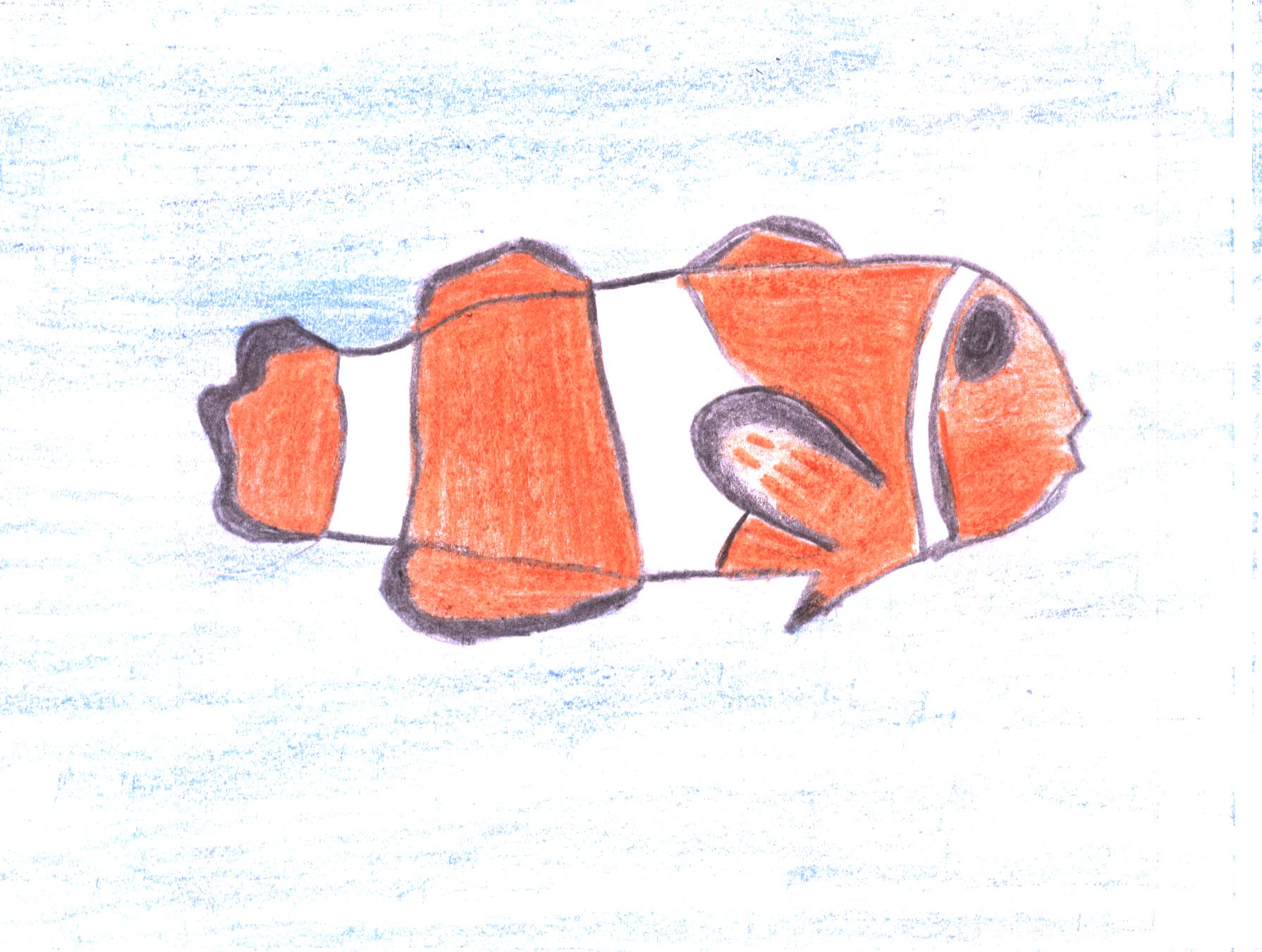 Ce2-Cm1-Cm2 de l'École Payen-Bacquet - Pelves - Petits poissons