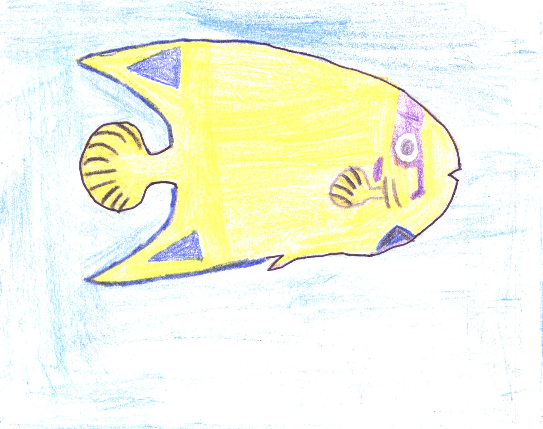 Ce2-Cm1-Cm2 de l'École Payen-Bacquet - Pelves - Petits poissons