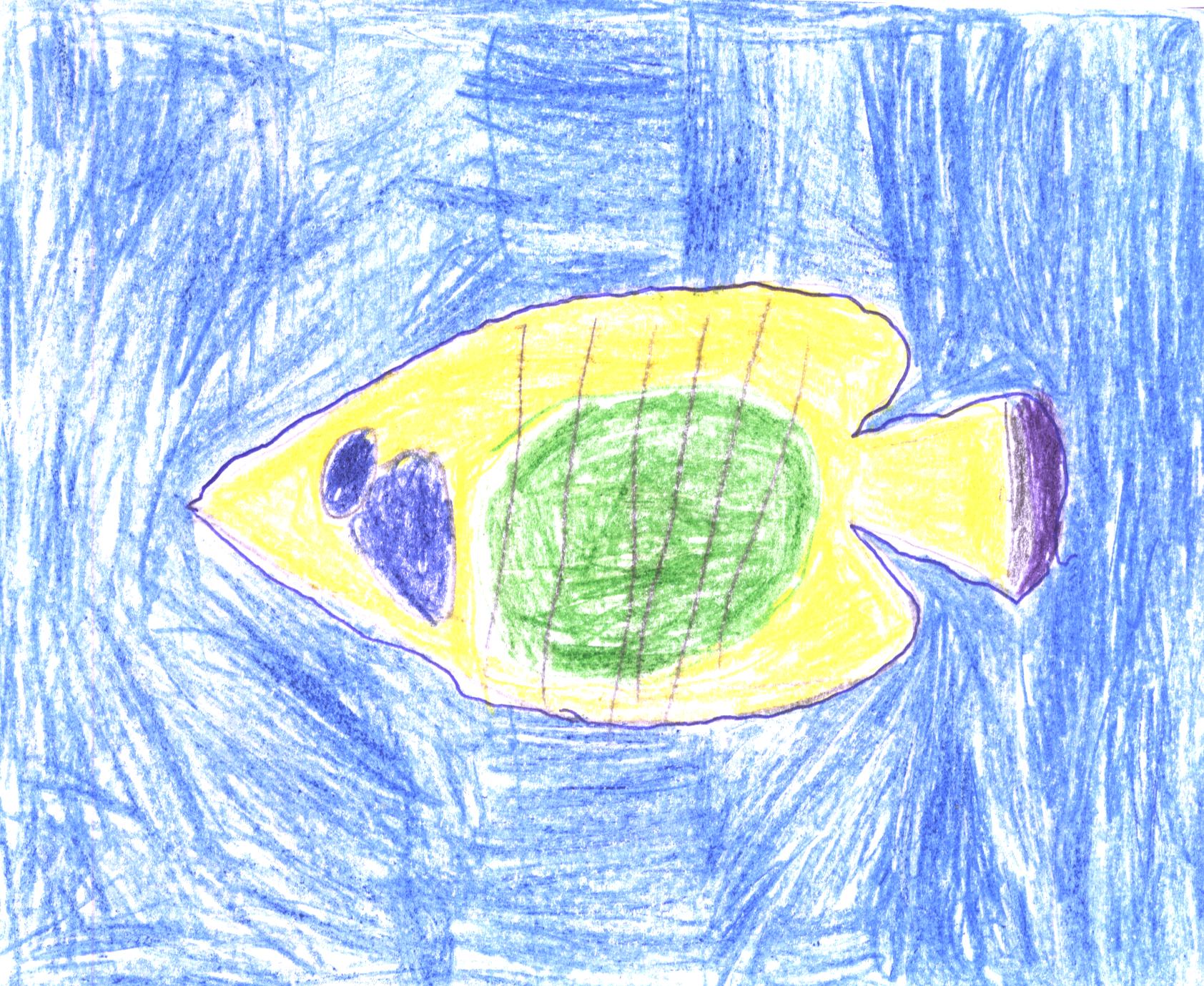 Ce2-Cm1-Cm2 de l'École Payen-Bacquet - Pelves - Petits poissons