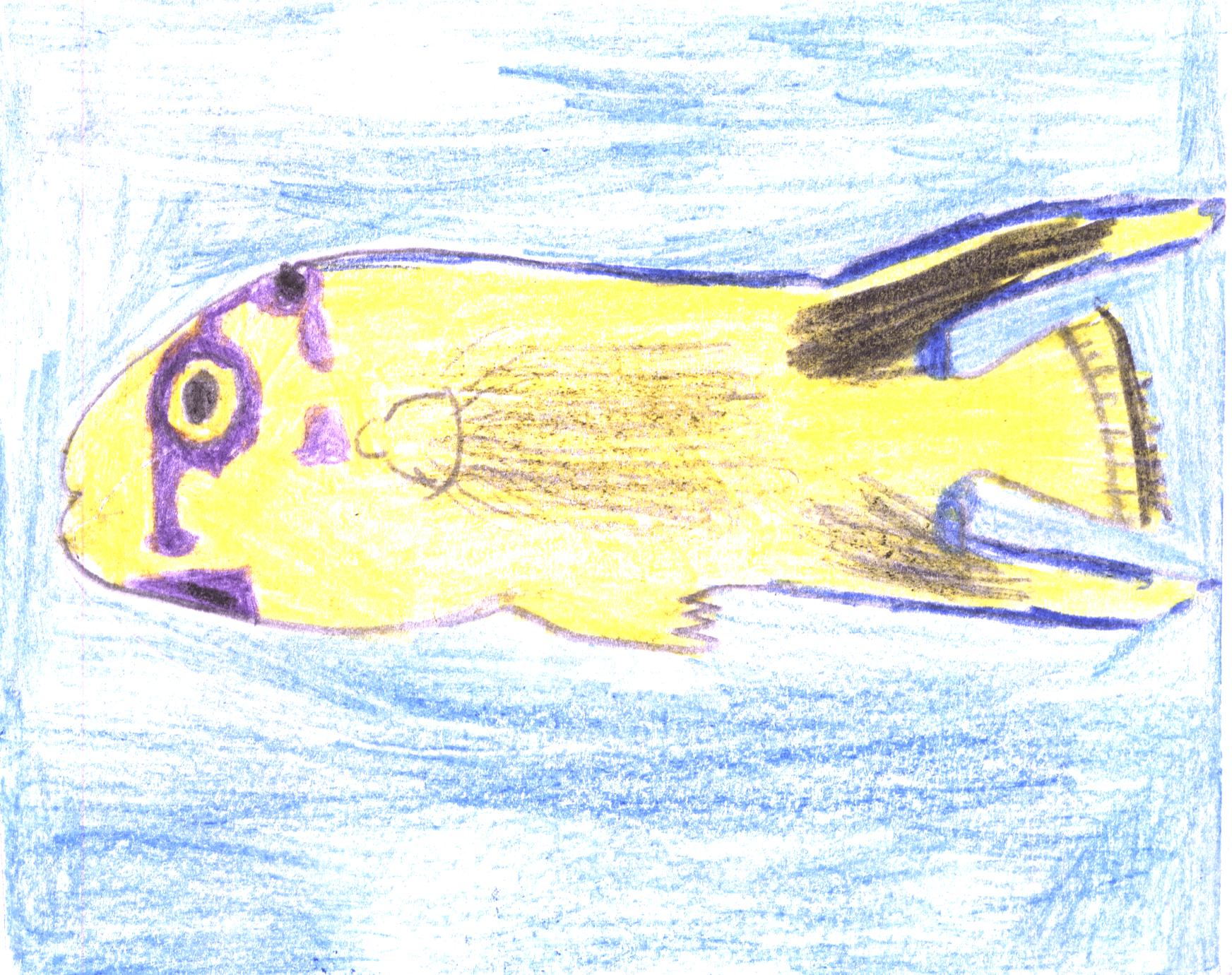 Ce2-Cm1-Cm2 de l'École Payen-Bacquet - Pelves - Petits poissons