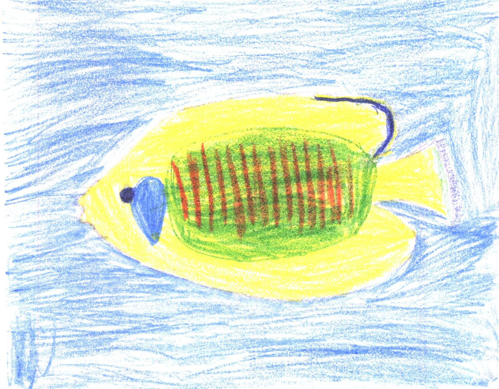 Ce2-Cm1-Cm2 de l'École Payen-Bacquet - Pelves - Petits poissons