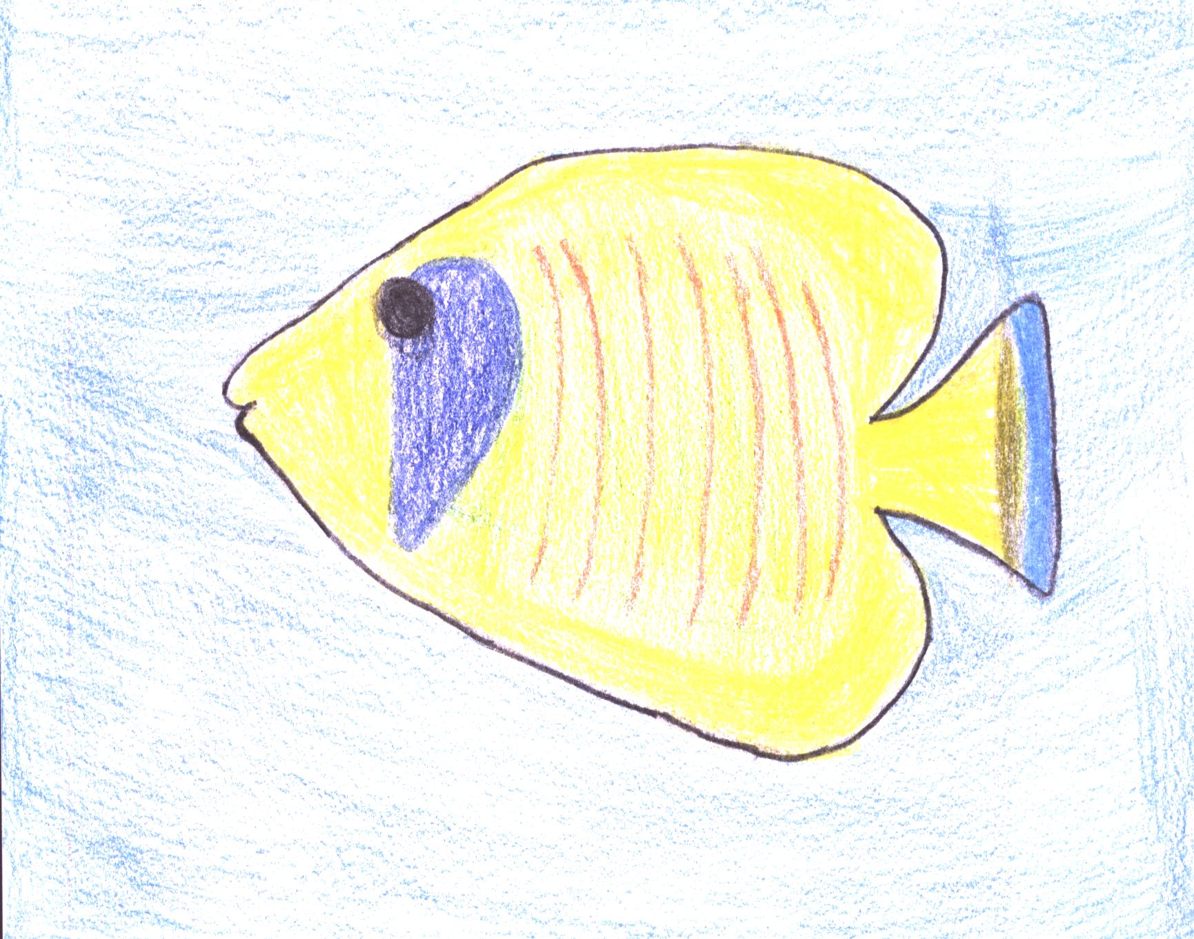 Ce2-Cm1-Cm2 de l'École Payen-Bacquet - Pelves - Petits poissons