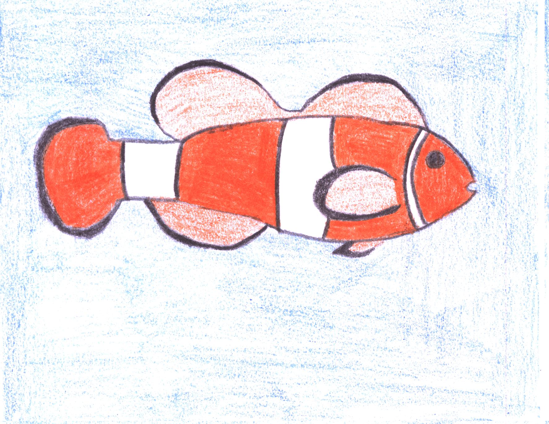 Ce2-Cm1-Cm2 de l'École Payen-Bacquet - Pelves - Petits poissons