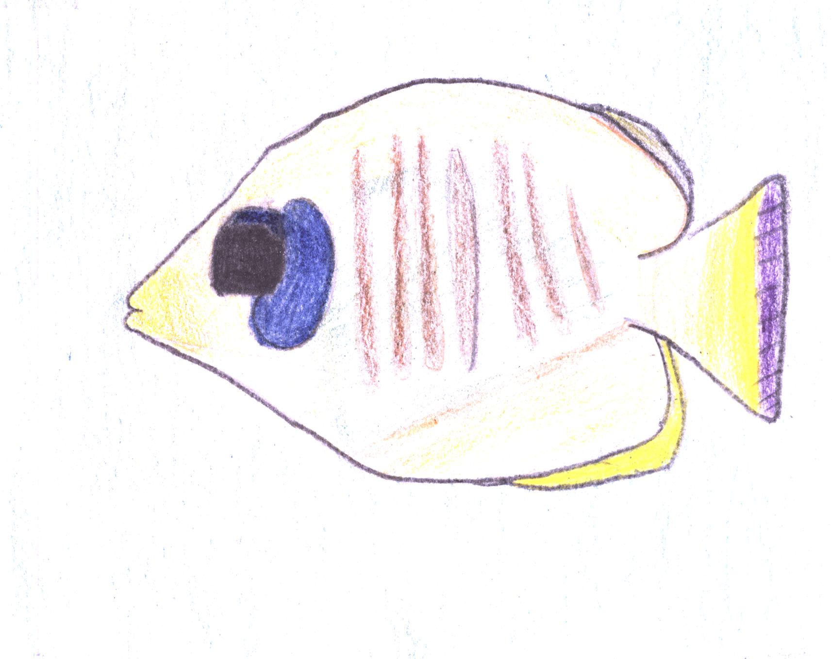 Ce2-Cm1-Cm2 de l'École Payen-Bacquet - Pelves - Petits poissons