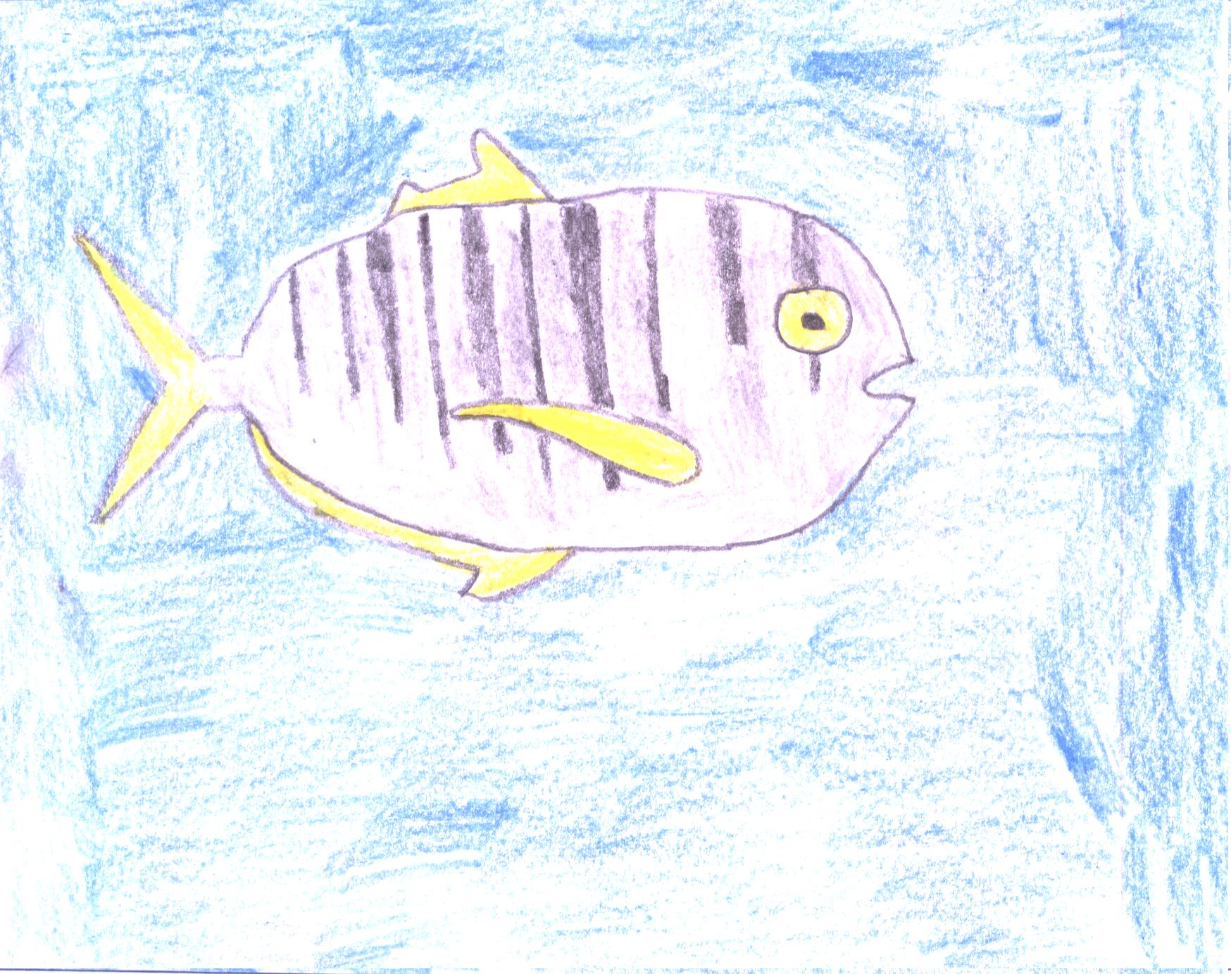 Ce2-Cm1-Cm2 de l'École Payen-Bacquet - Pelves - Petits poissons