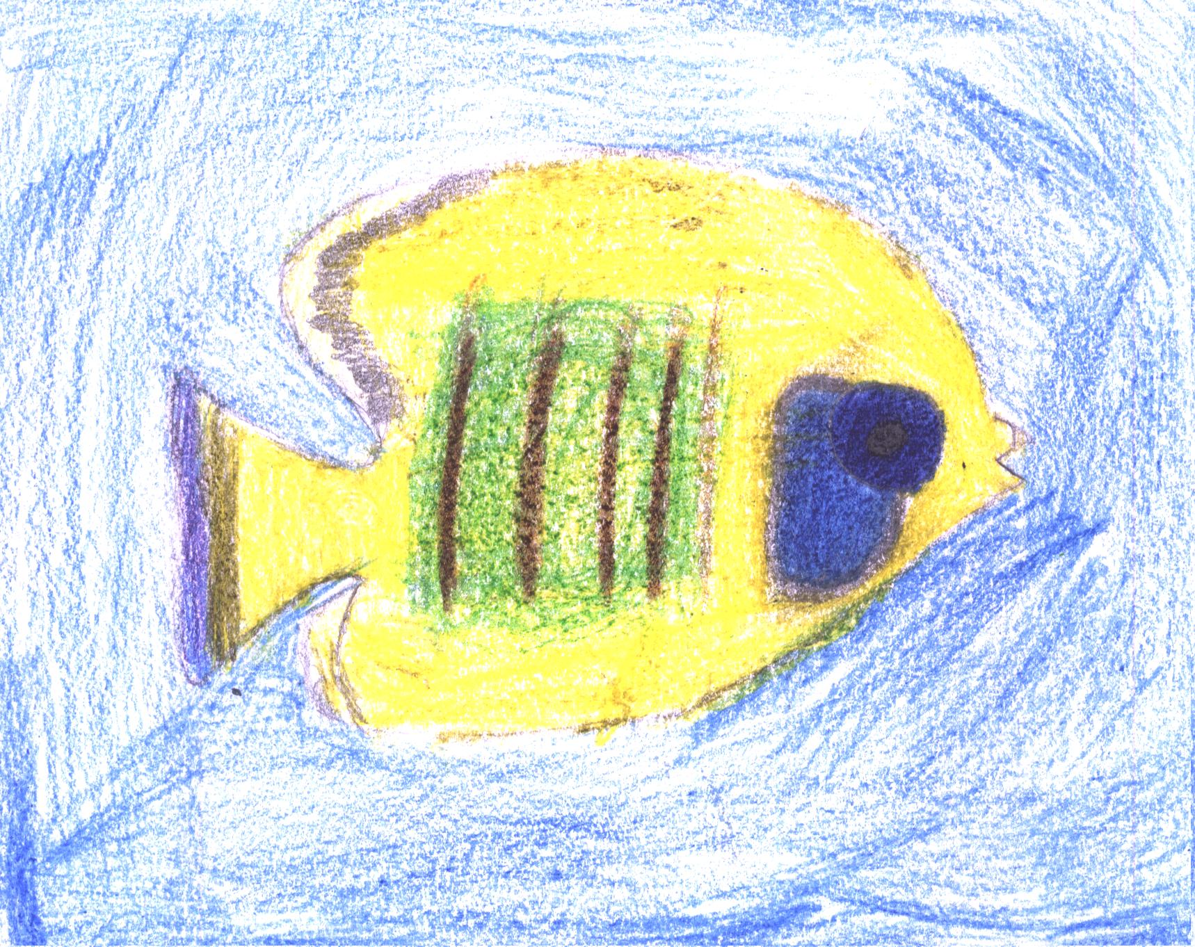 Ce2-Cm1-Cm2 de l'École Payen-Bacquet - Pelves - Petits poissons