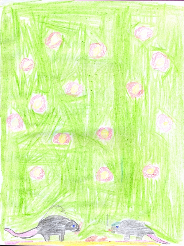 Ce2-Cm1-Cm2 de l'École Payen-Bacquet - Pelves - Rat de ville ... 2015-2016